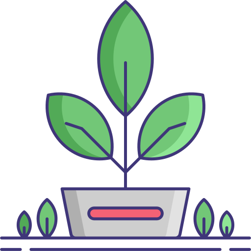 Portafolio Esther Or